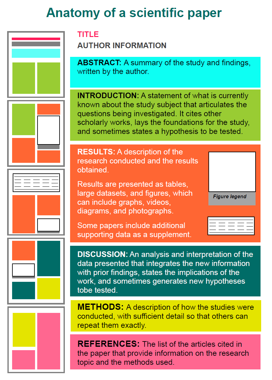 How to Read Scientific Papers – paulvanderlaken.com